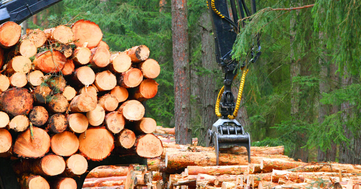 Fueling Growth: The Crucial Role of Industrial Engines in…